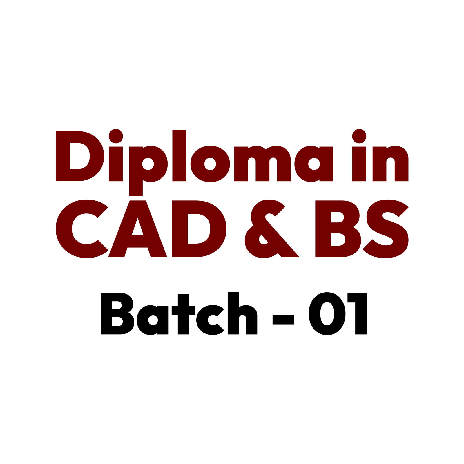 Diploma in CAD & BS - Batch 01 - IES Campus