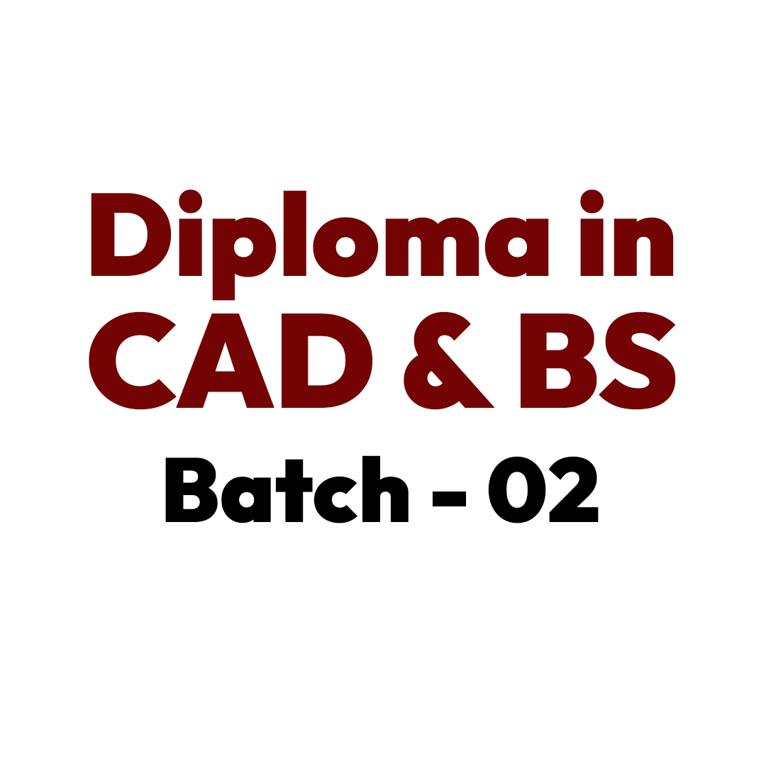 Diploma in CAD & BS Batch - 02 - IES Campus
